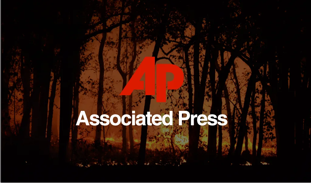 Fire, other ravages jeopardize California’s prized forests