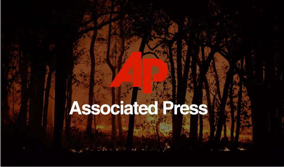 Fire, other ravages jeopardize California’s prized forests